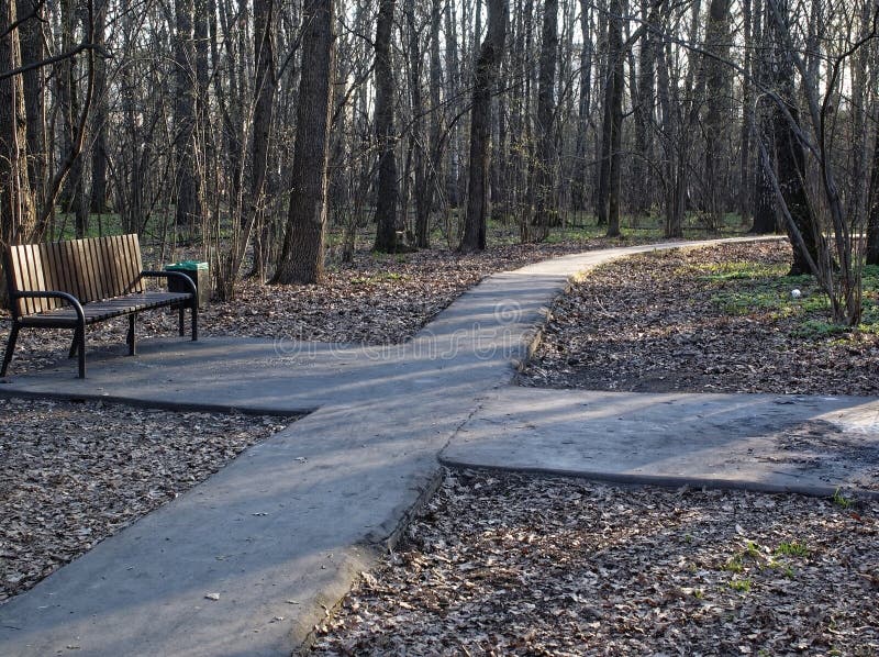 Paved Path in the Park in Spring Stock Image - Image of beautiful ...