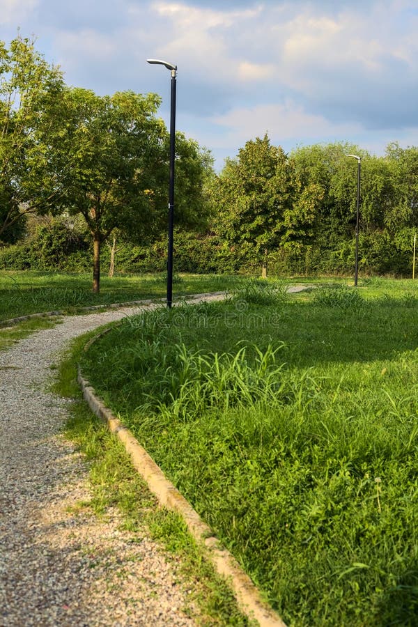 Paved Path with Trees at Its Edge Stock Photo - Image of botany ...