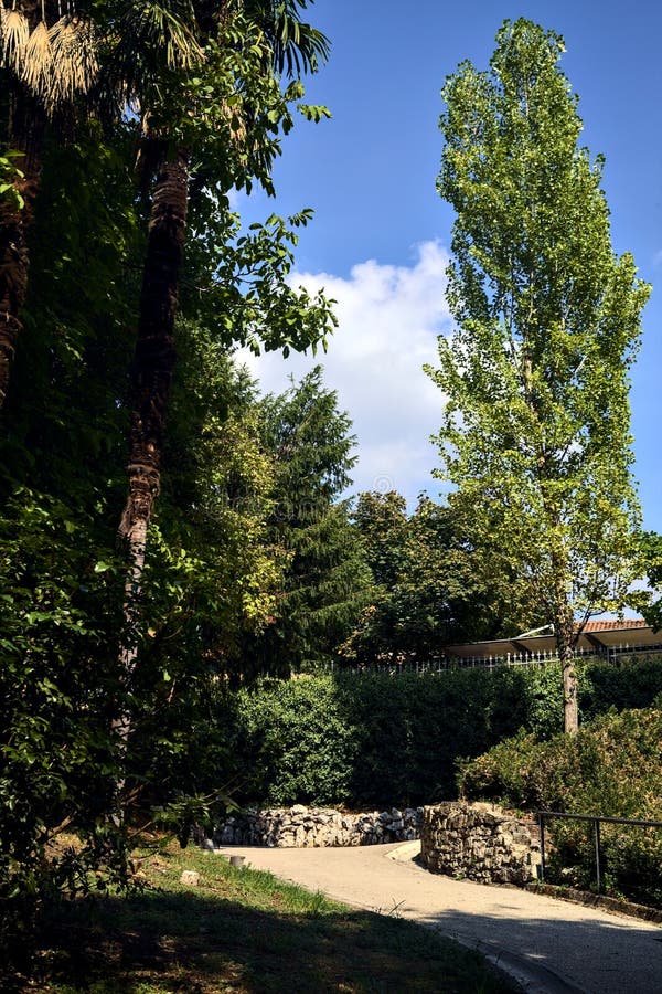 Paved Path with Trees at Its Edge Stock Photo - Image of landscapes ...