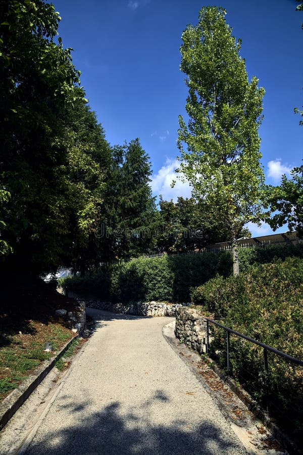 Paved Path with Trees at Its Edge Stock Image - Image of landscaping ...