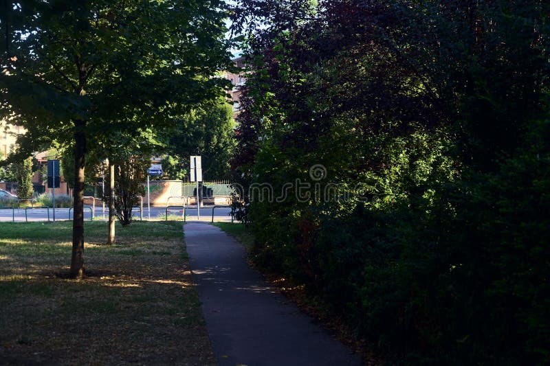 Paved Path with Trees at Its Edge in a Park Stock Photo - Image of ...