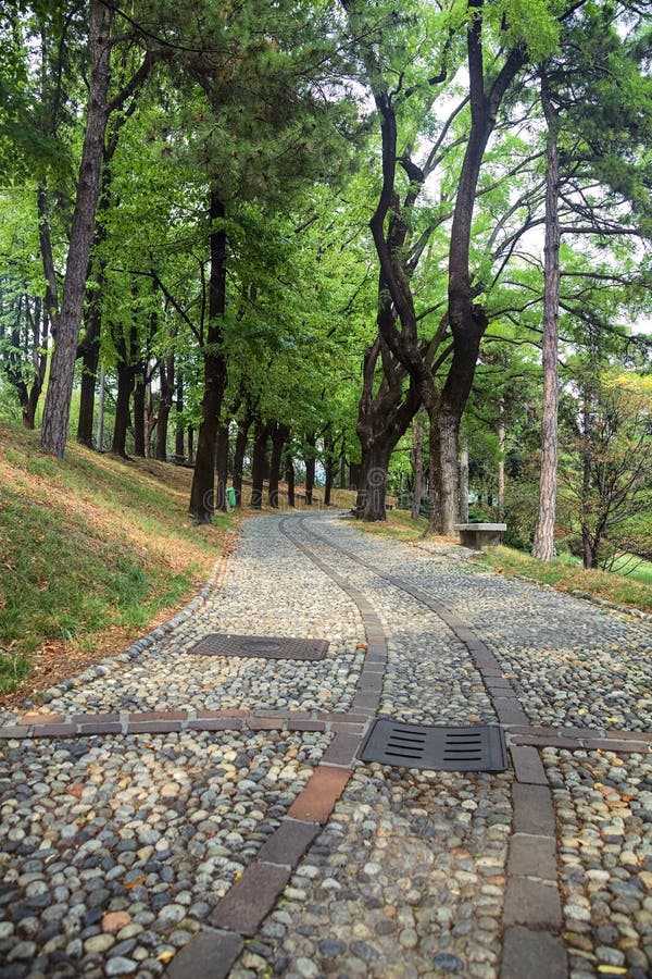 Paved Path Under a Tree Canopy Stock Image - Image of field, flower ...