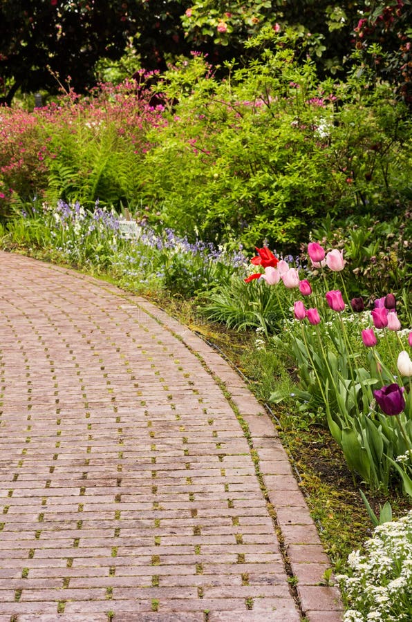 Paved Path or Walk through Garden Stock Photo - Image of land, lilac ...