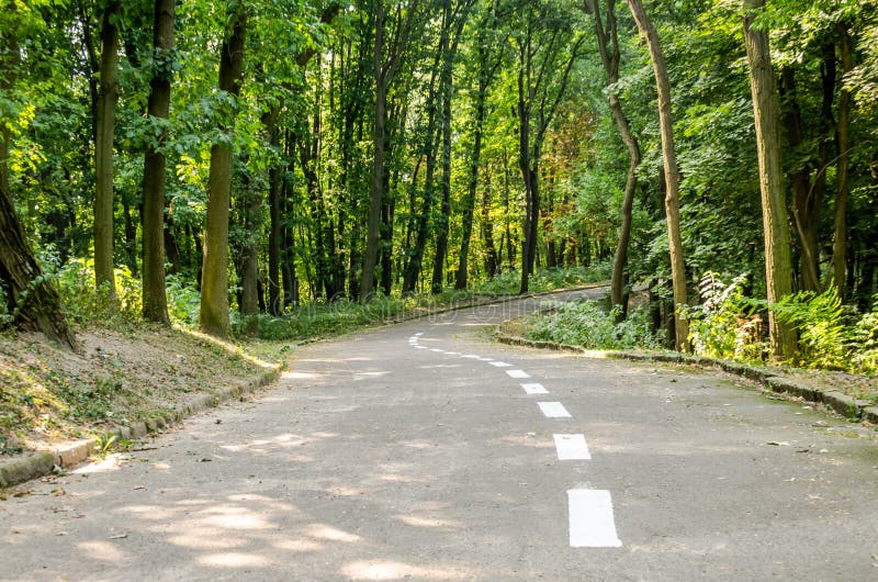 Paved Jogging Walkway in Park Stock Image - Image of lamp, lights: 83698897
