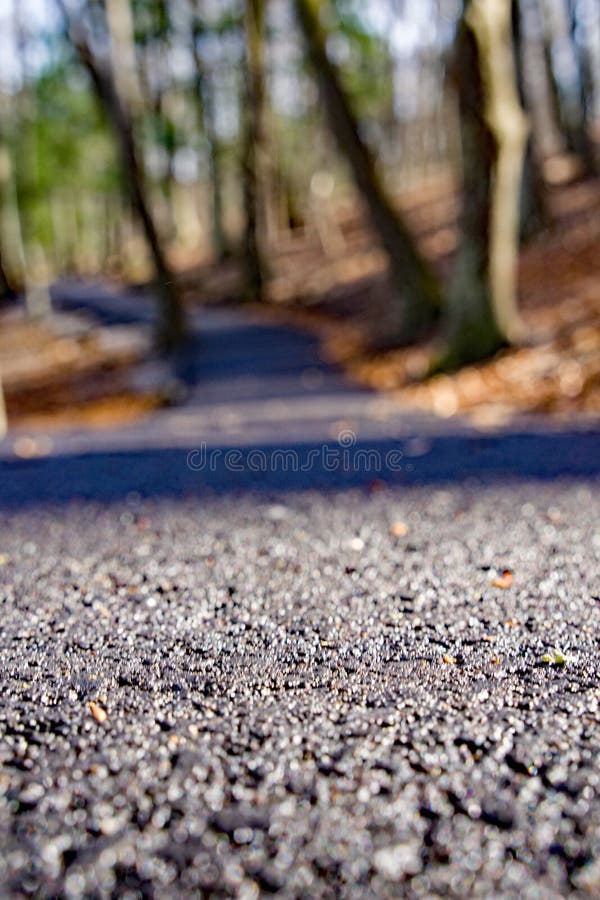 Paved Path in the Woods stock image. Image of curve, paved - 84081123