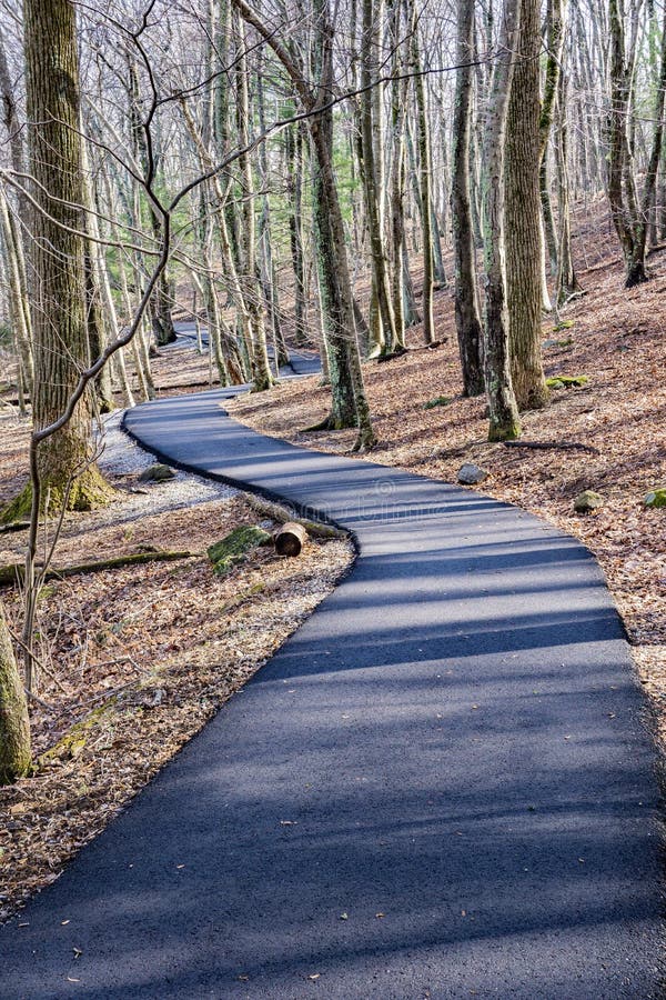 Paved Path in the Woods stock photo. Image of landscaping - 84083668