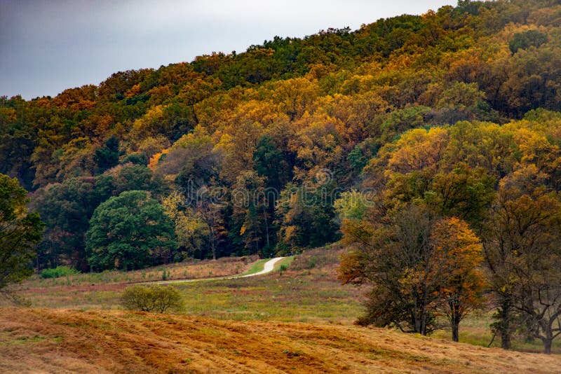 A Paved Pathway in the Distance Leading into a Bright Autumn Forest ...