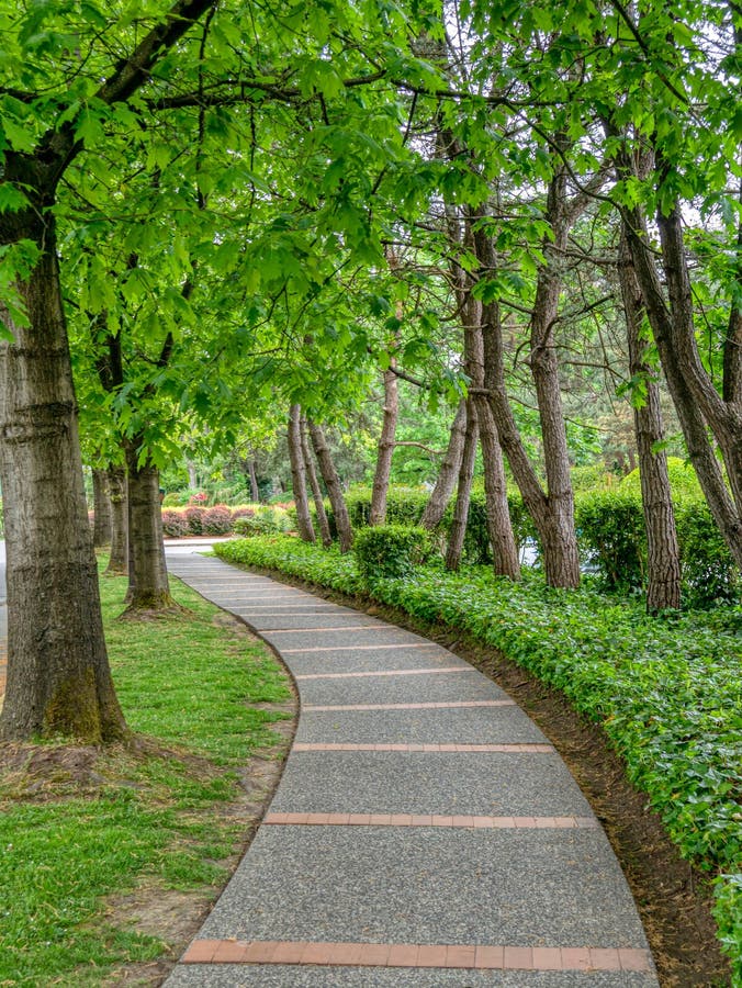 Pathway in the park stock image. Image of outdoor, flower - 61346969