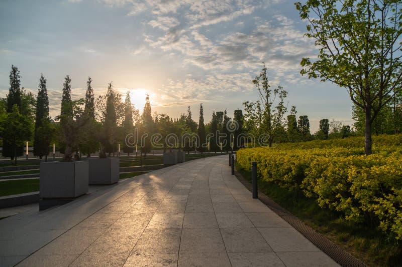 Park Pathway Sunset Trees - a Paved Pathway Leads through a Park with ...