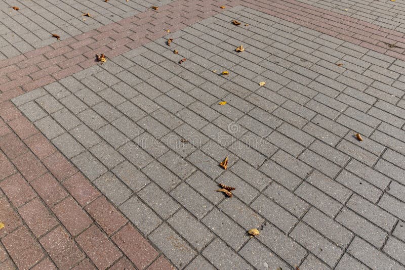 Paved Road with Concrete Tiles Stock Photo - Image of urban, tree ...