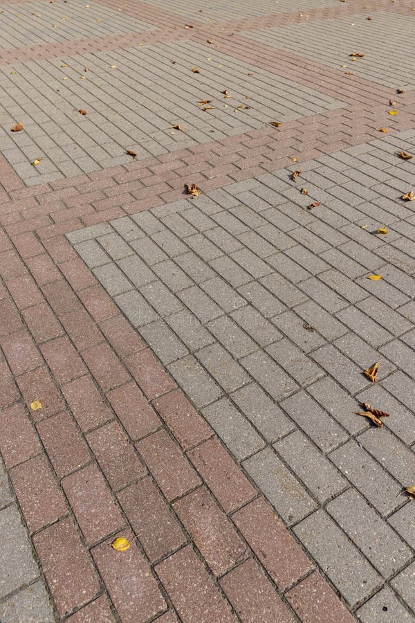 Paved Road with Concrete Tiles Stock Image - Image of leaves ...