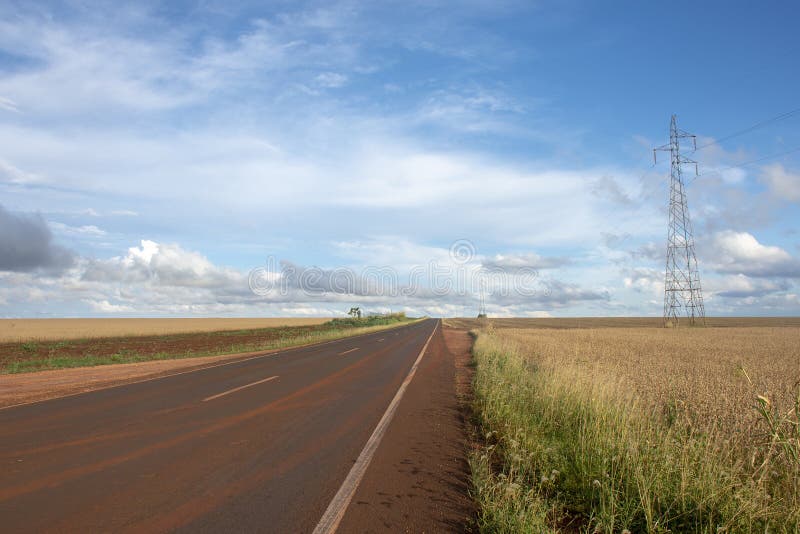 Paved Road Crossing Farms in Brazil Stock Image - Image of plantation ...