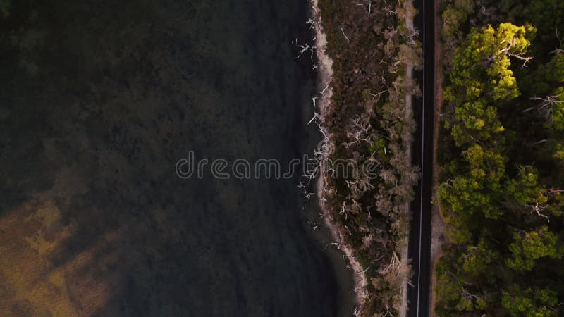 Aerial View of a Road Cutting through a Forest and a Body of Water ...