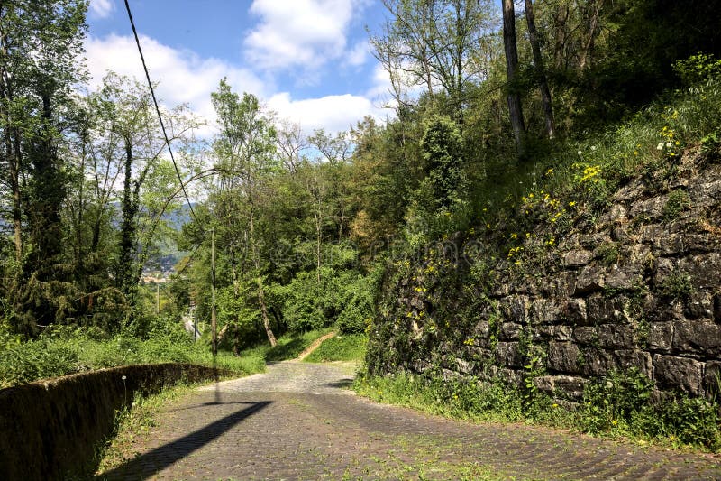 Paved Road with Dandelions at Its Edge Stock Photo - Image of blue ...