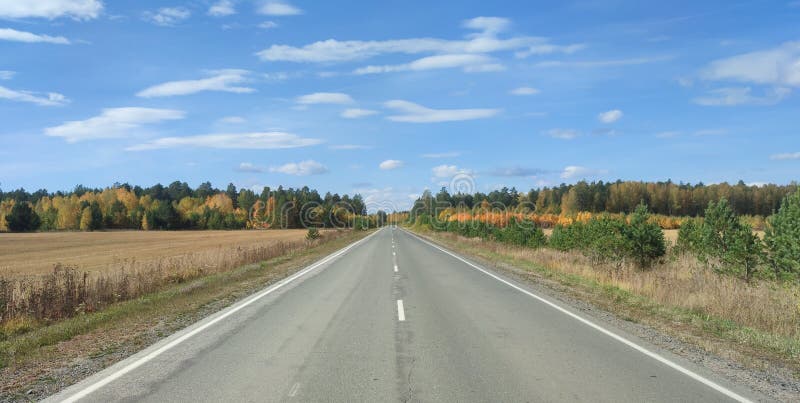 Paved Road among Green Fields and Trees in Autumn Stock Photo - Image ...