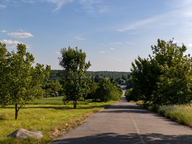 A Paved Road in the Middle of a Grassy Field with Trees on Both Sides ...