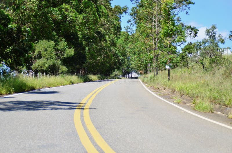 Paved Road in the Middle of Nature Stock Photo - Image of trail, road ...