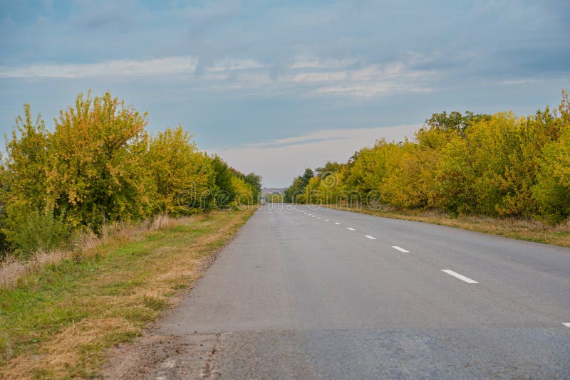 Paved Road on the Sides of the Forest and Fields Stock Photo - Image of ...