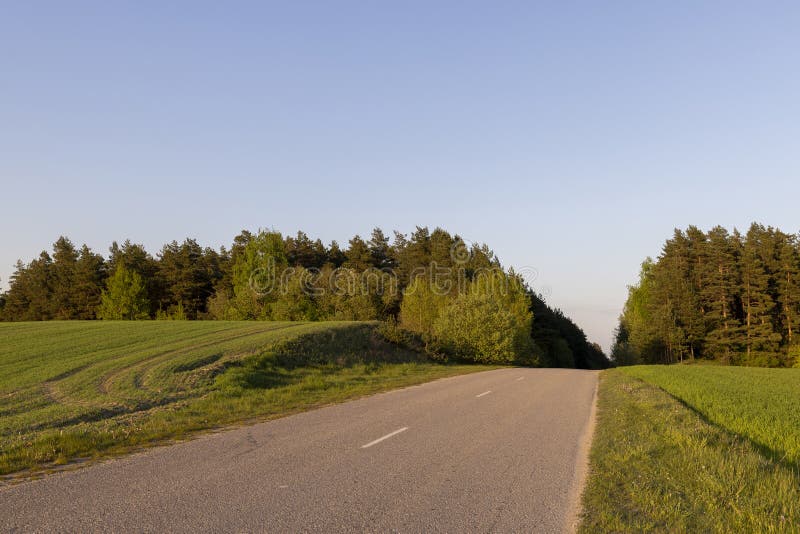 Paved Road in the Spring Season during Sunset Stock Image - Image of ...