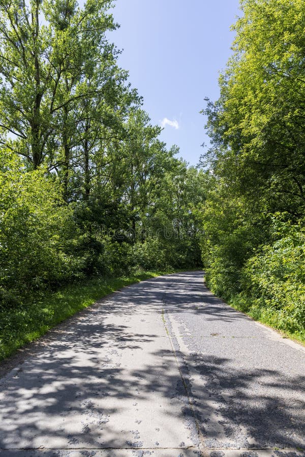 Paved Road in Sunny Weather Stock Image - Image of outdoor, detailed ...