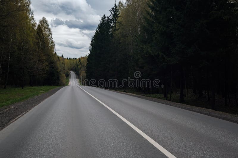 Paved Road in a Traditional Russian Forest of Spruce and Birch Stock ...