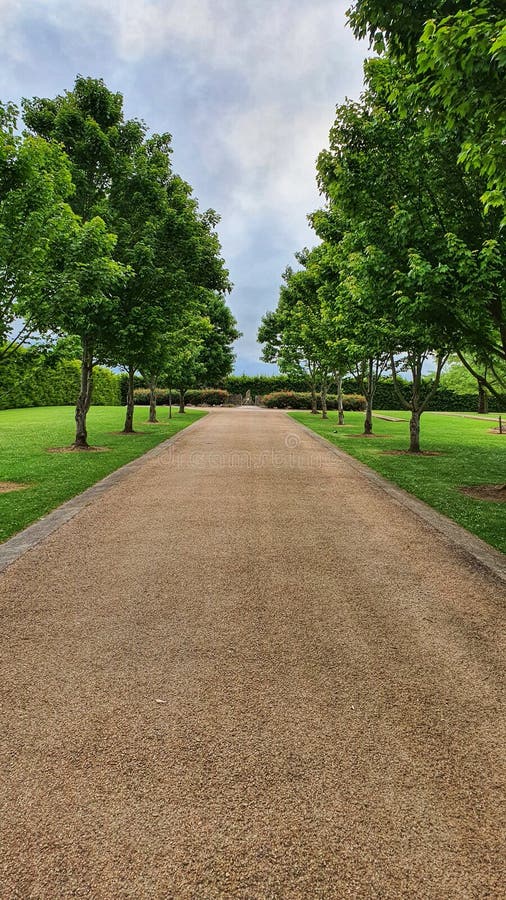 Paved Road with Trees on Either Side, Beautiful Garden Stock Photo ...
