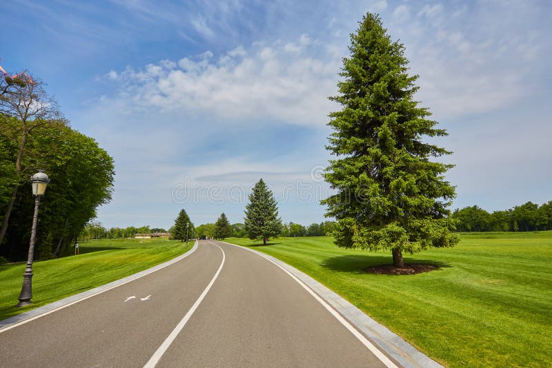 The Paved Road Up the Side of the Trees, a Freight Train on a Sunny Day ...