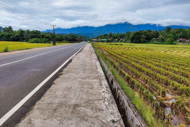 Paved Roads and Harvested Rice Fields in the Countryside Stock Photo ...