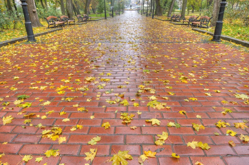 Paved Sidewalk with Autumn Foliage Stock Photo - Image of lush, autumn ...