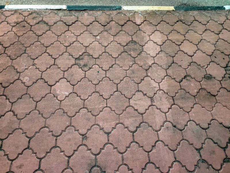 Paved with Tiles Texture and Pattern Path in the Park Paving Slabs on ...