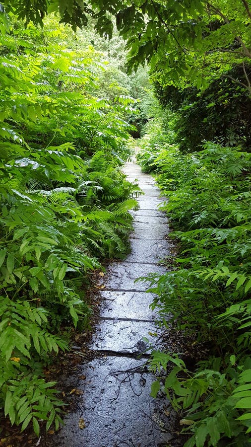 Paved Walking Path Covered in Lots of Green Plants Stock Image - Image ...