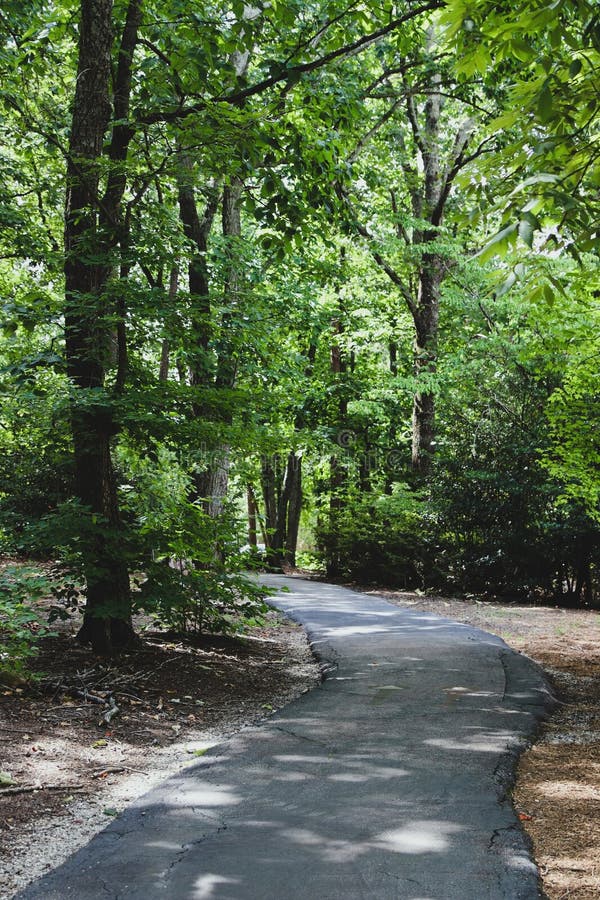 Paved Walking Path among Green Leafy Trees Stock Photo - Image of ...