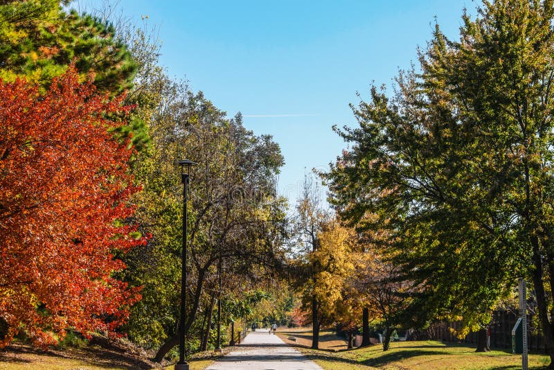 Paved Walking-running Path through the Trees on a Beautiful Sunny ...
