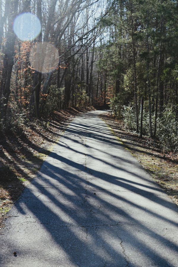 Paved Walking Trail Covered by Tree Shadows Stock Image - Image of ...