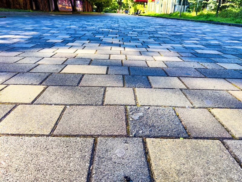 Paved Walkway in a Park during Daytime with Natural Light Filtering ...
