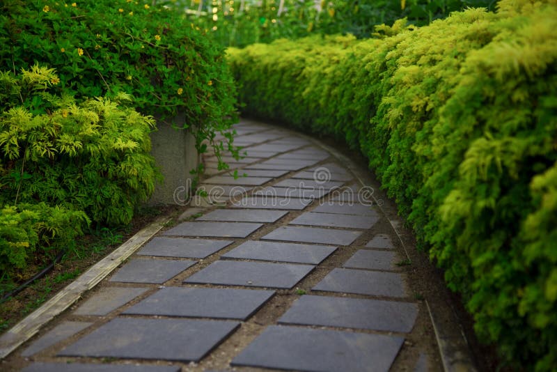 Paved Walkway Path Goes into the Park among Green Bushes Stock Photo ...