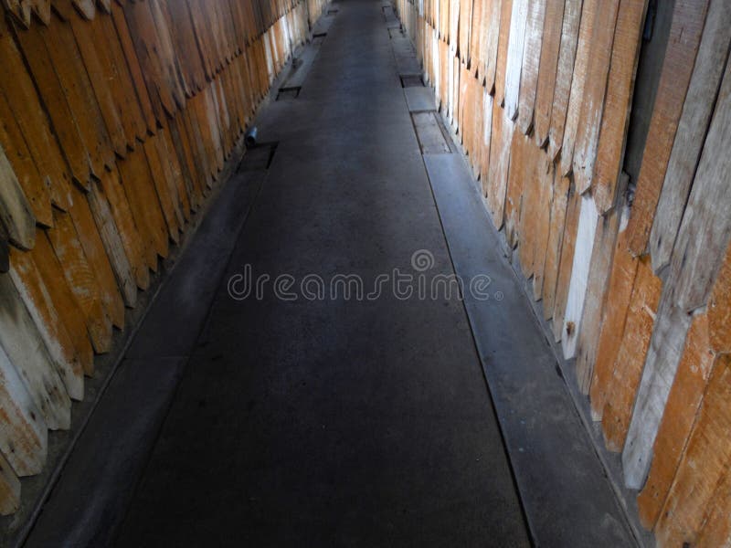 Pavement Background stock photo. Image of line, pathway - 141005878