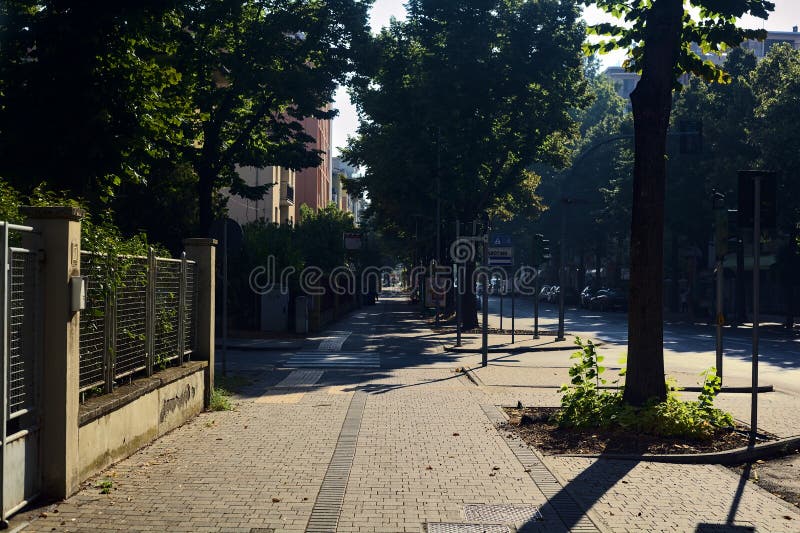 Pavement Bordered by Trees Next To Fences in a Residential Area Stock ...