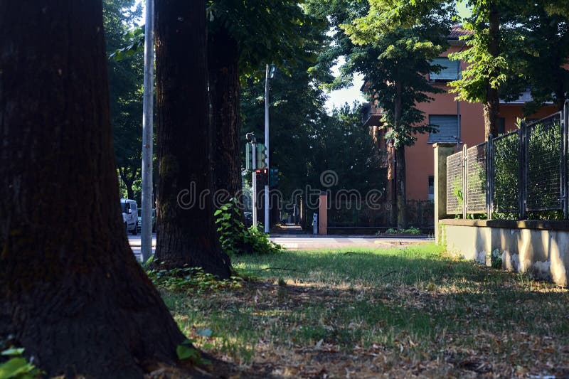 Pavement Bordered by Trees Next To Fences in a Residential Area Stock ...