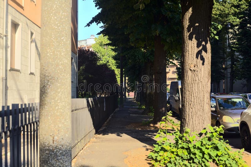 Pavement Bordered by Trees Next To Fences in a Residential Area Stock ...