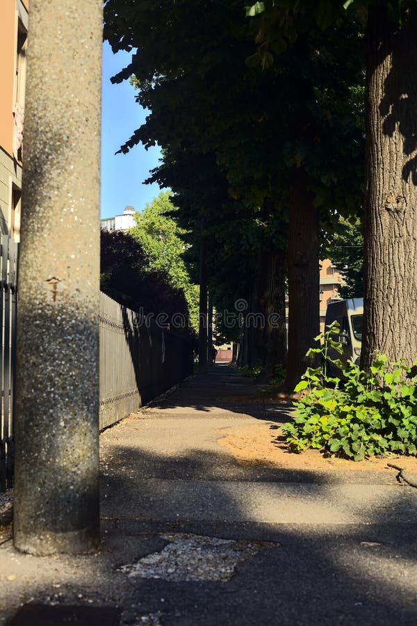 Pavement Bordered by Trees Next To Fences in a Residential Area Stock ...