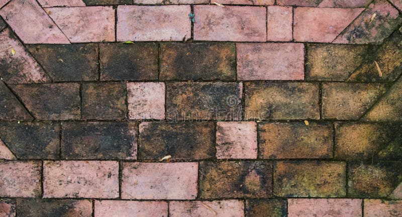 Pavement brick. stock photo. Image of design, sapling - 90351284