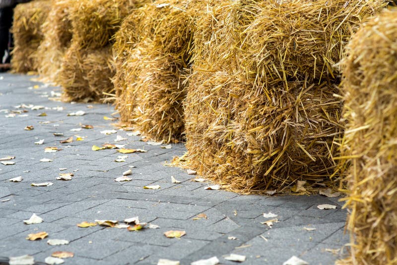 The Pavement Covered Cubes of Dry Hay. Stock Image - Image of industry ...
