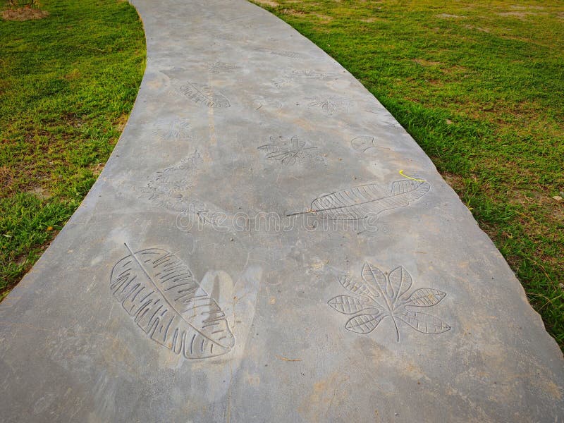 Pavement for Crossing with Leaf and Flower Design on it. Stock Image ...
