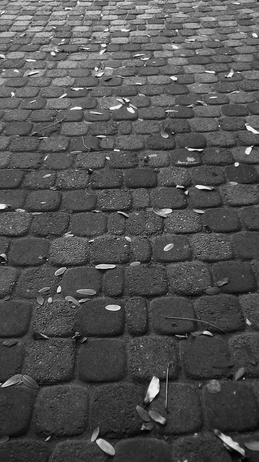Pavement design stock image. Image of rural, pavement - 134453921