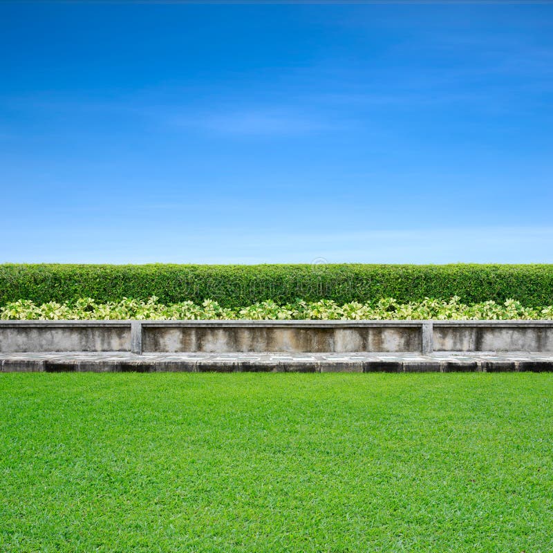 Pavement and grass stock photo. Image of grass, textured - 33542478