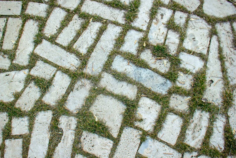 Pavement with Grass , Pavement Wallpaper Stock Photo - Image of ...