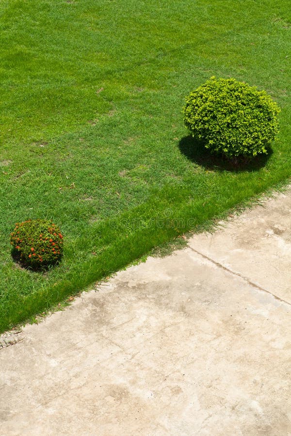 38,244 Pavement Grass Photos - Free & Royalty-Free Stock Photos from ...