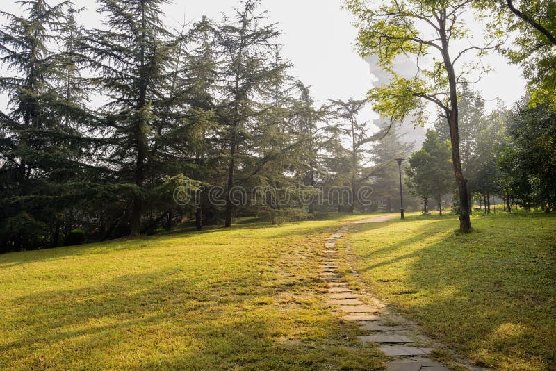 Pavement in Grassy Lawn in Warm Winter Morning Stock Photo - Image of ...