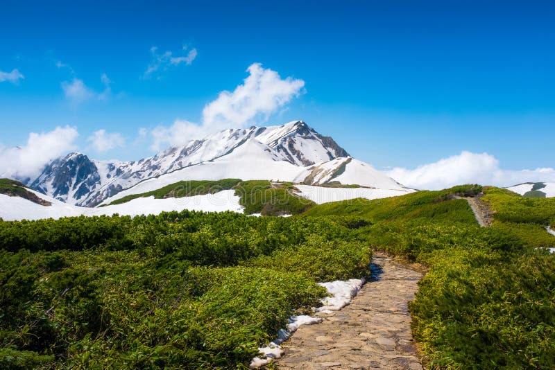 Pavement with Green Field and Snow Mountain Stock Photo - Image of blue ...